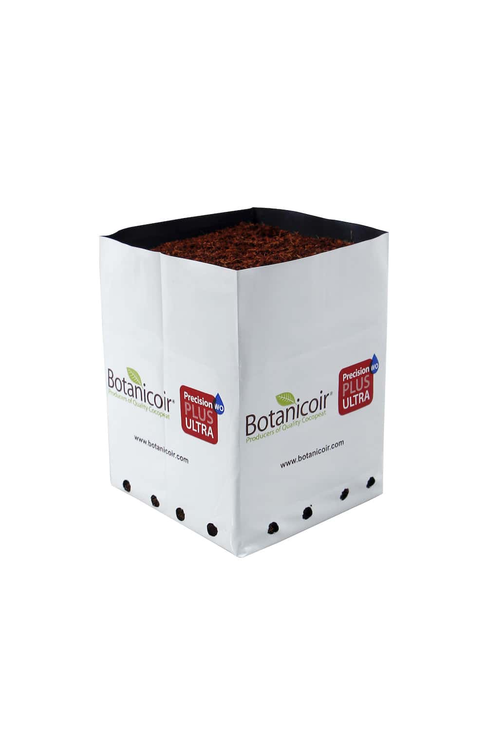Spotlight on Precision Plus Ultra - Botanicoir